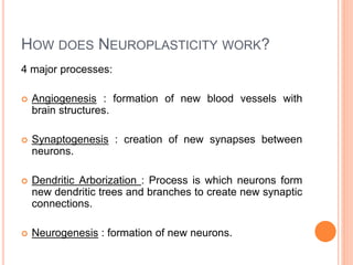 Neuroplasticity | PPTX