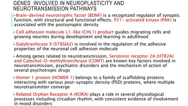 Neuroplasticity | PPTX | Brain and Nervous System Disorders | Diseases ...