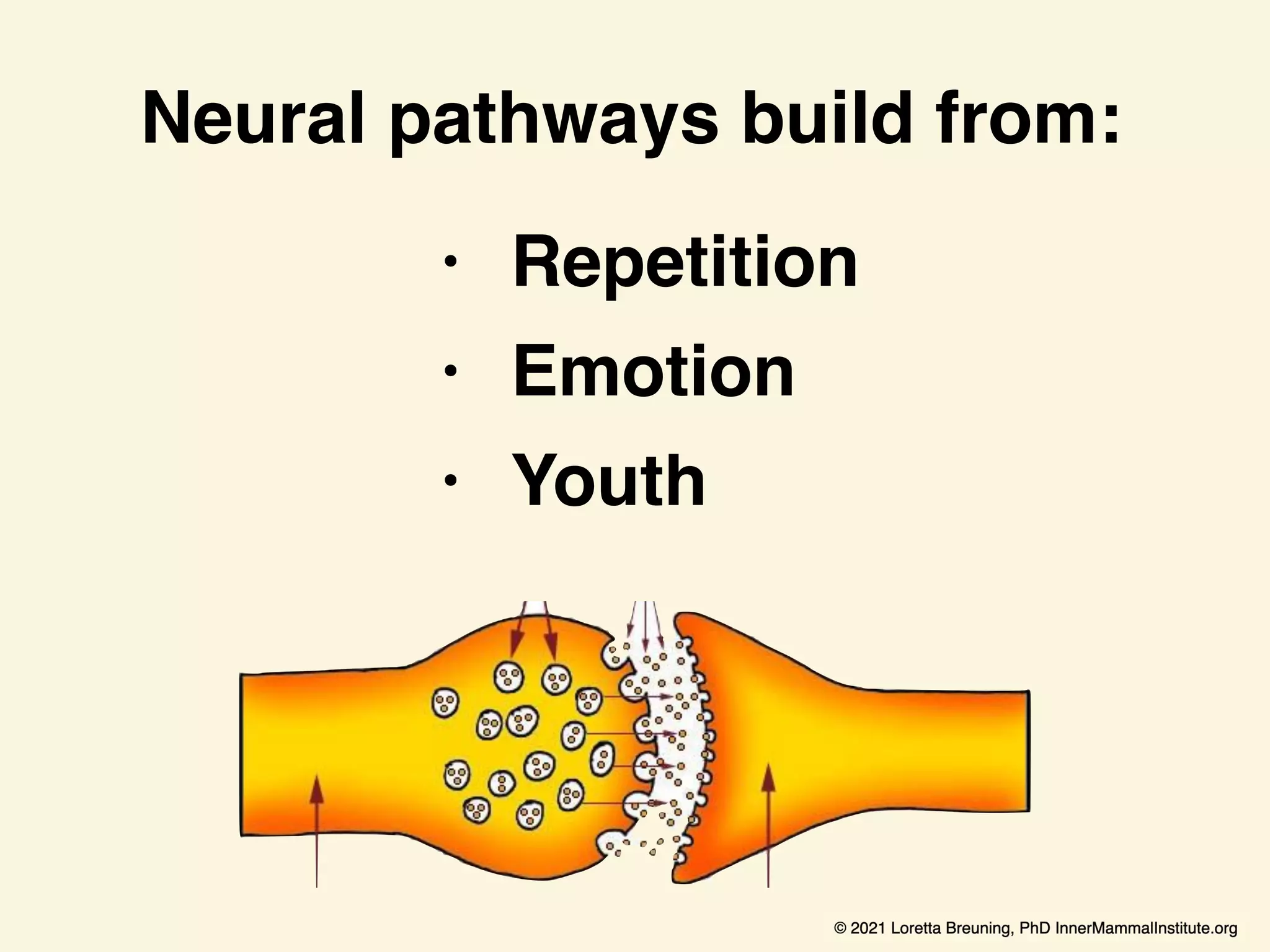 Neuroplasticity: Make It Fun, Keep It Simple | PDF