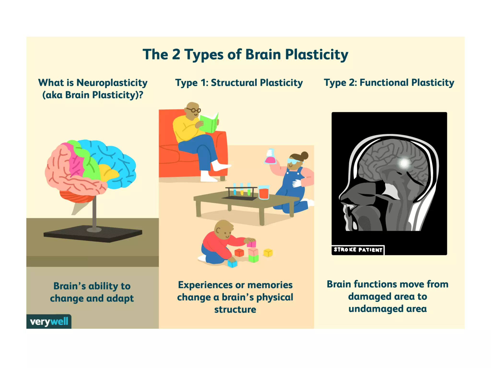 Neuroplasticity.pptx