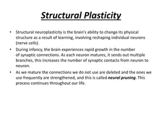 Neuroplasticity.pptx