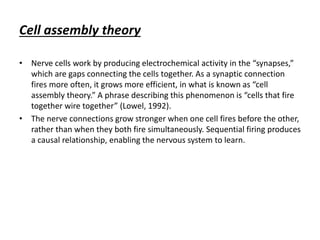 Neuroplasticity.pptx