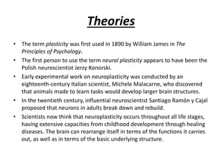 Neuroplasticity.pptx