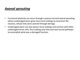 Neuroplasticity.pptx