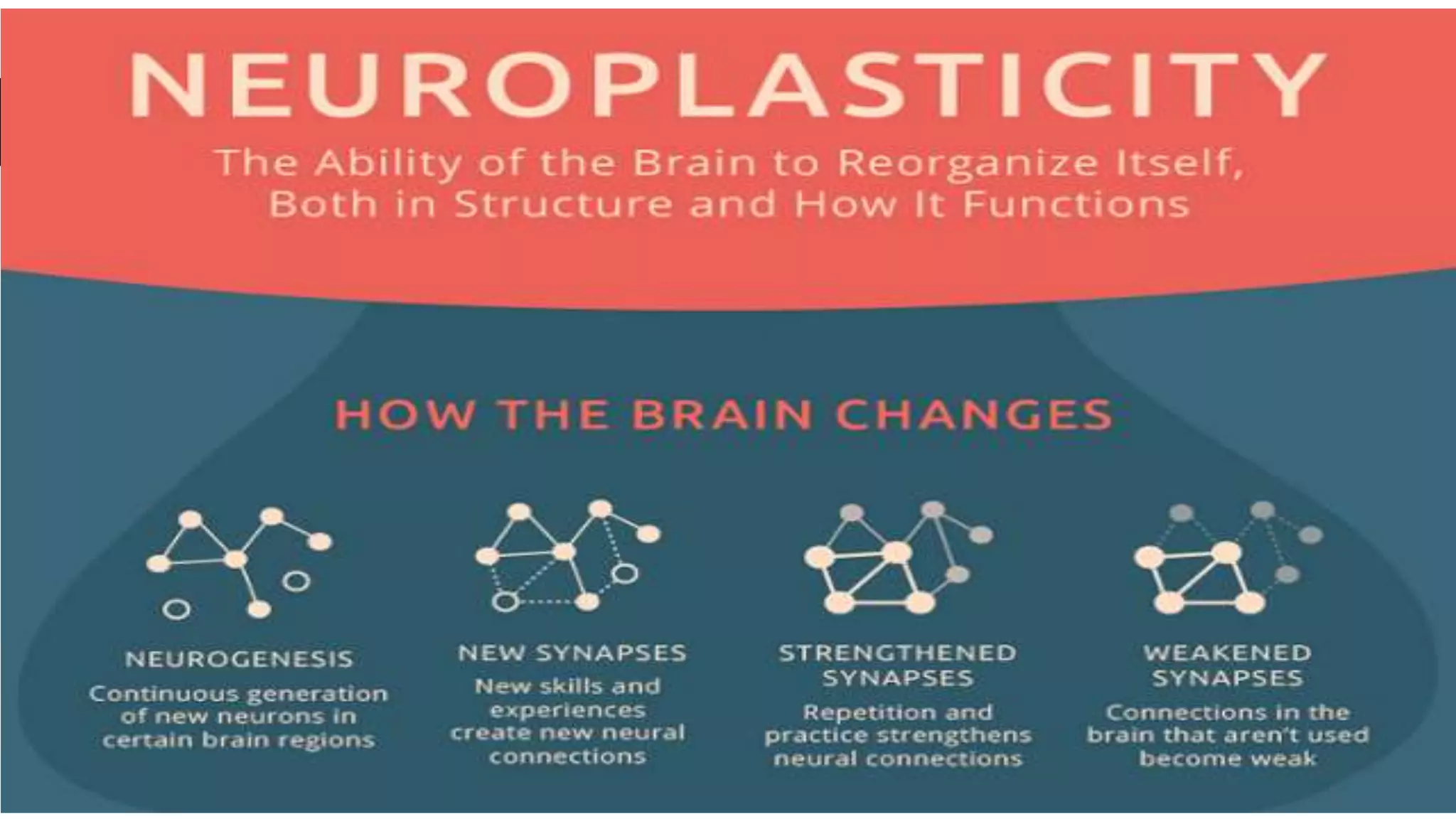 Neuroplasticity rehab df | PPT