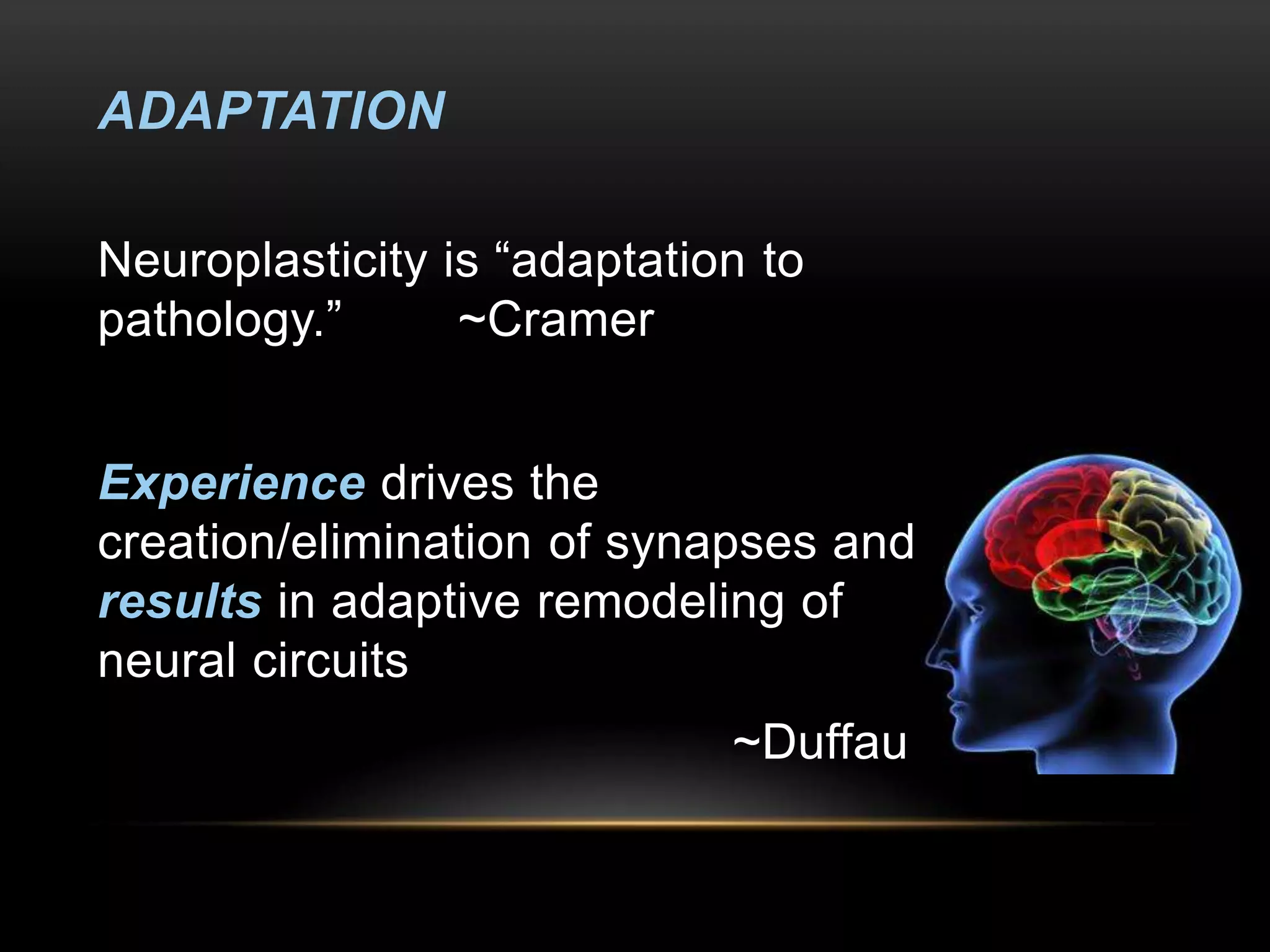 NeuroplasticityOT | PPTX