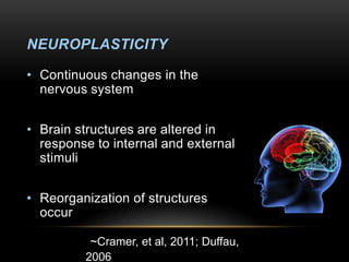NeuroplasticityOT | PPTX