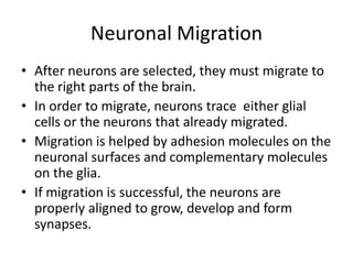 Neuroplasticity and neurodegeneration | PPT