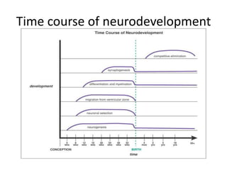 Neuroplasticity and neurodegeneration | PPT