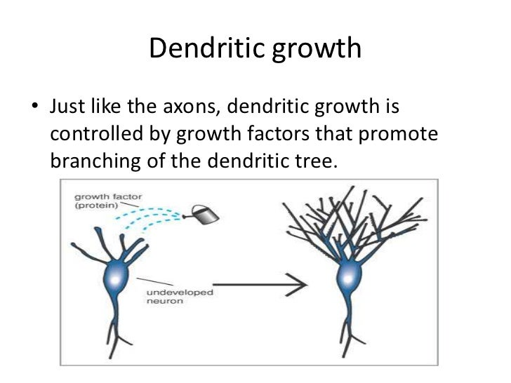 Neuroplasticity and neurodegeneration