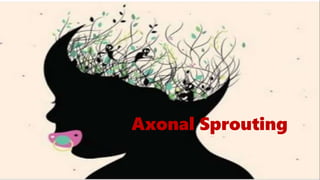 Neuroplasticity | PPT