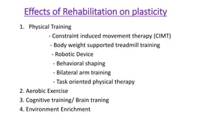 Neuroplasticity | PPT