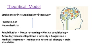 Neuroplasticity | PPT
