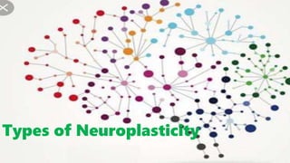 Neuroplasticity | PPTX
