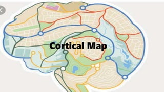 Neuroplasticity | PPTX
