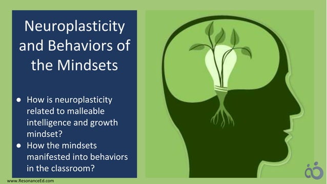 Neuroplasticity & GM | PPT