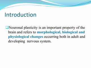 Neuroplasticity | PPTX