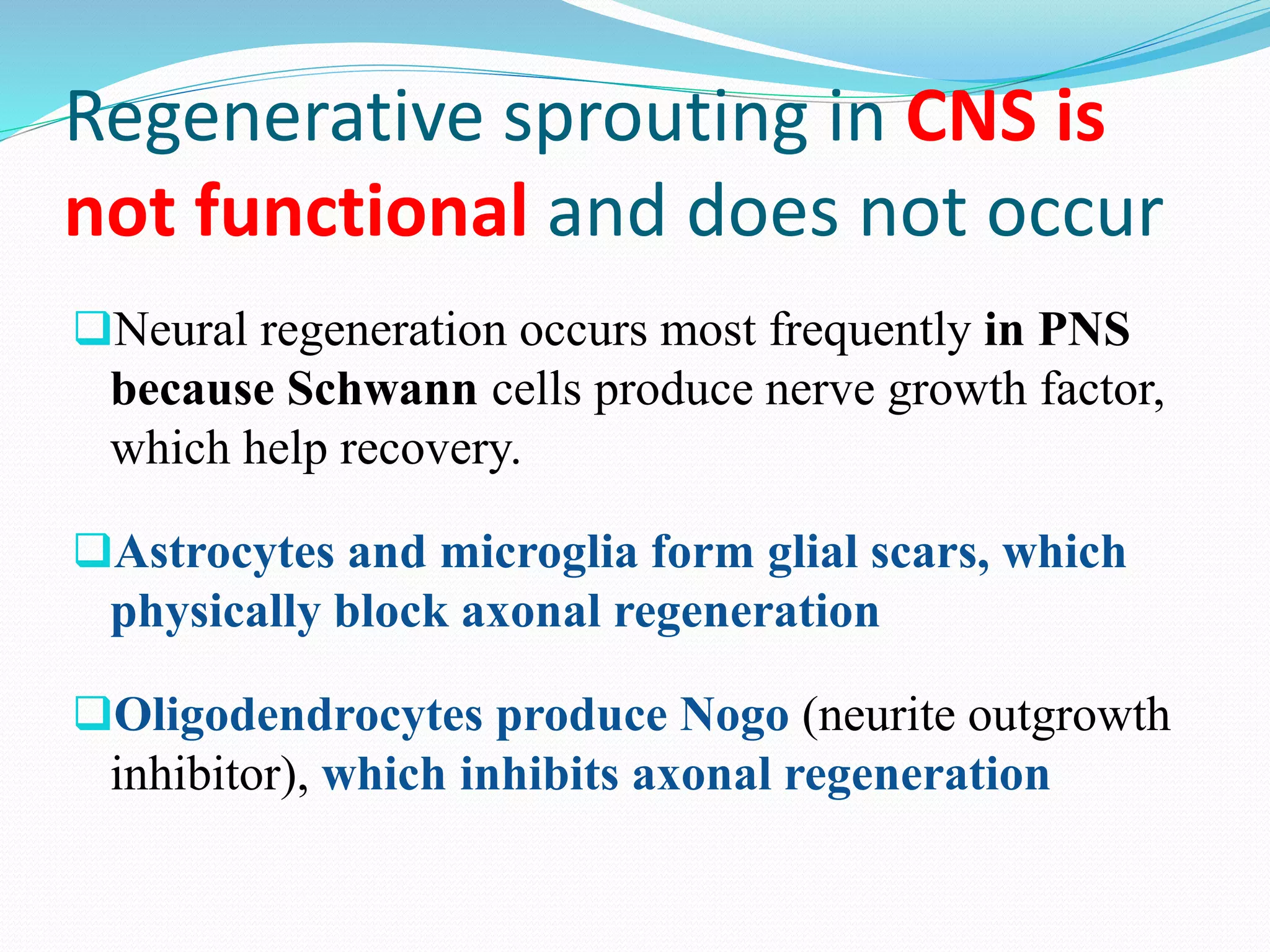 Neuroplasticity ma | PPTX