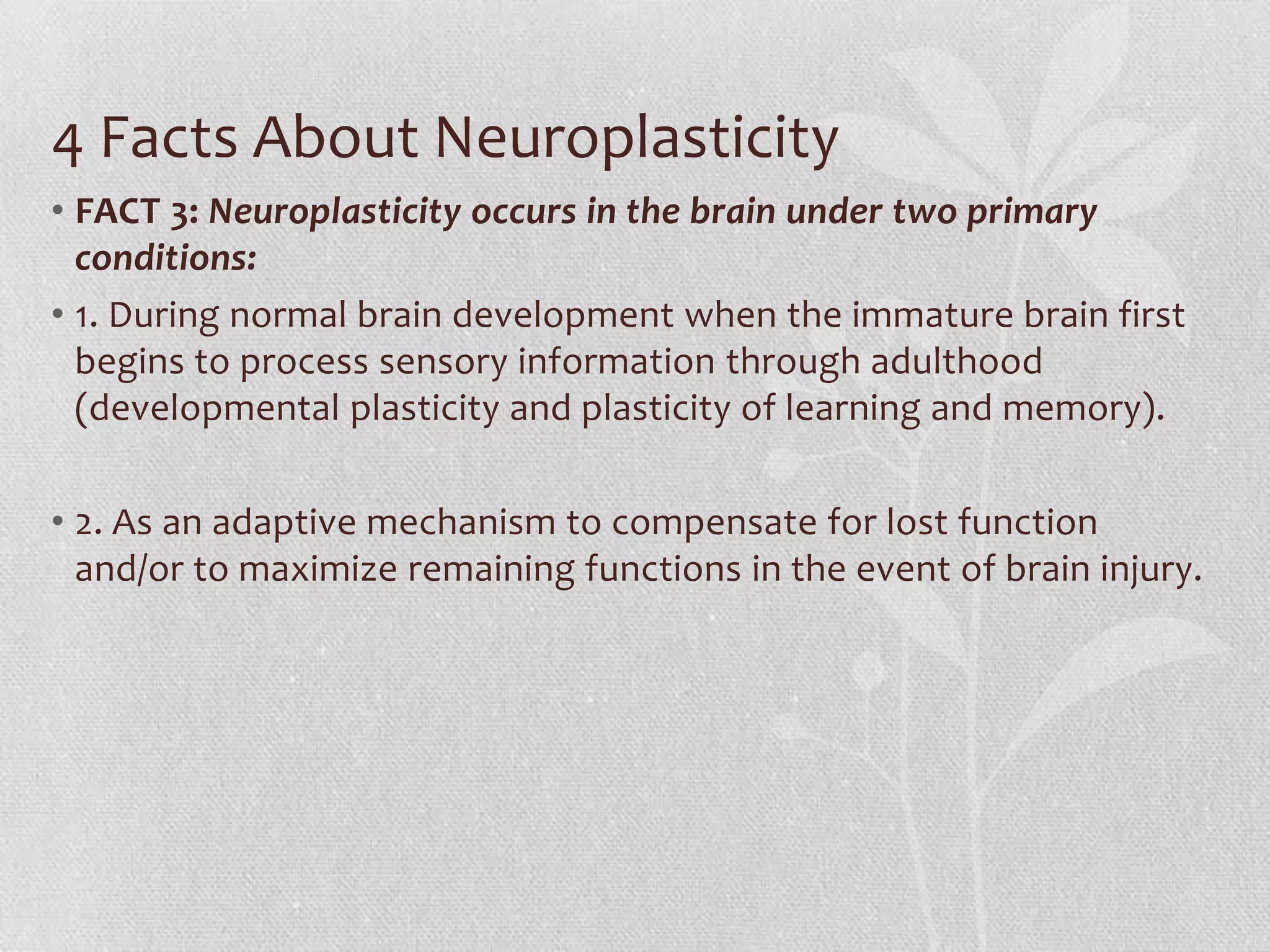 Neuroplasticity Psychology IB | PPTX