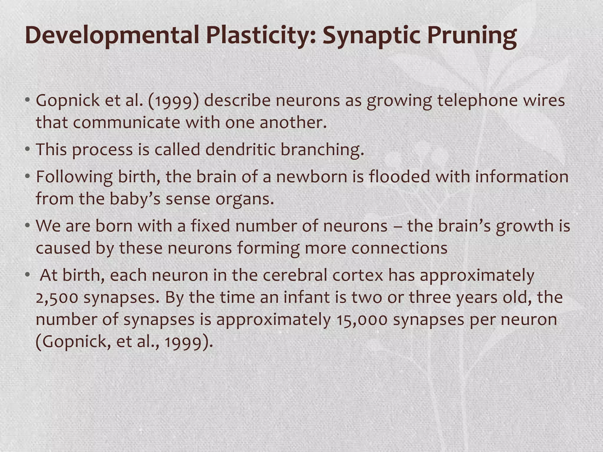 Neuroplasticity Psychology IB | PPTX