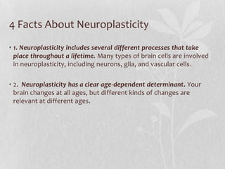 Neuroplasticity Psychology IB | PPTX