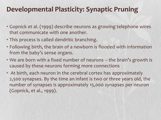 Neuroplasticity Psychology IB | PPTX