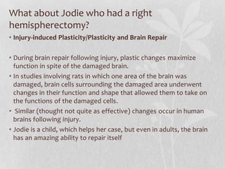 Neuroplasticity Psychology IB | PPTX