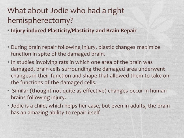 Neuroplasticity Psychology IB | PPTX | Brain and Nervous System ...