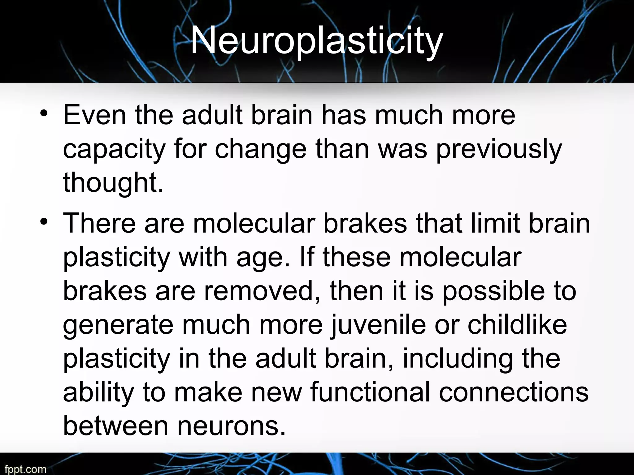 Neuroplasticity of brain | PPT