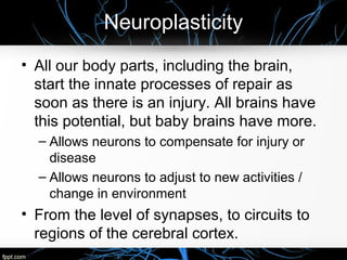 Neuroplasticity of brain | PPT