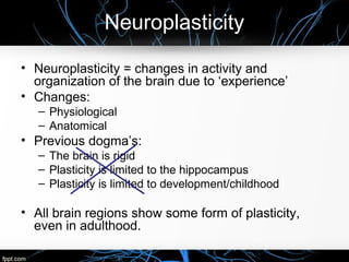 Neuroplasticity of brain | PPT