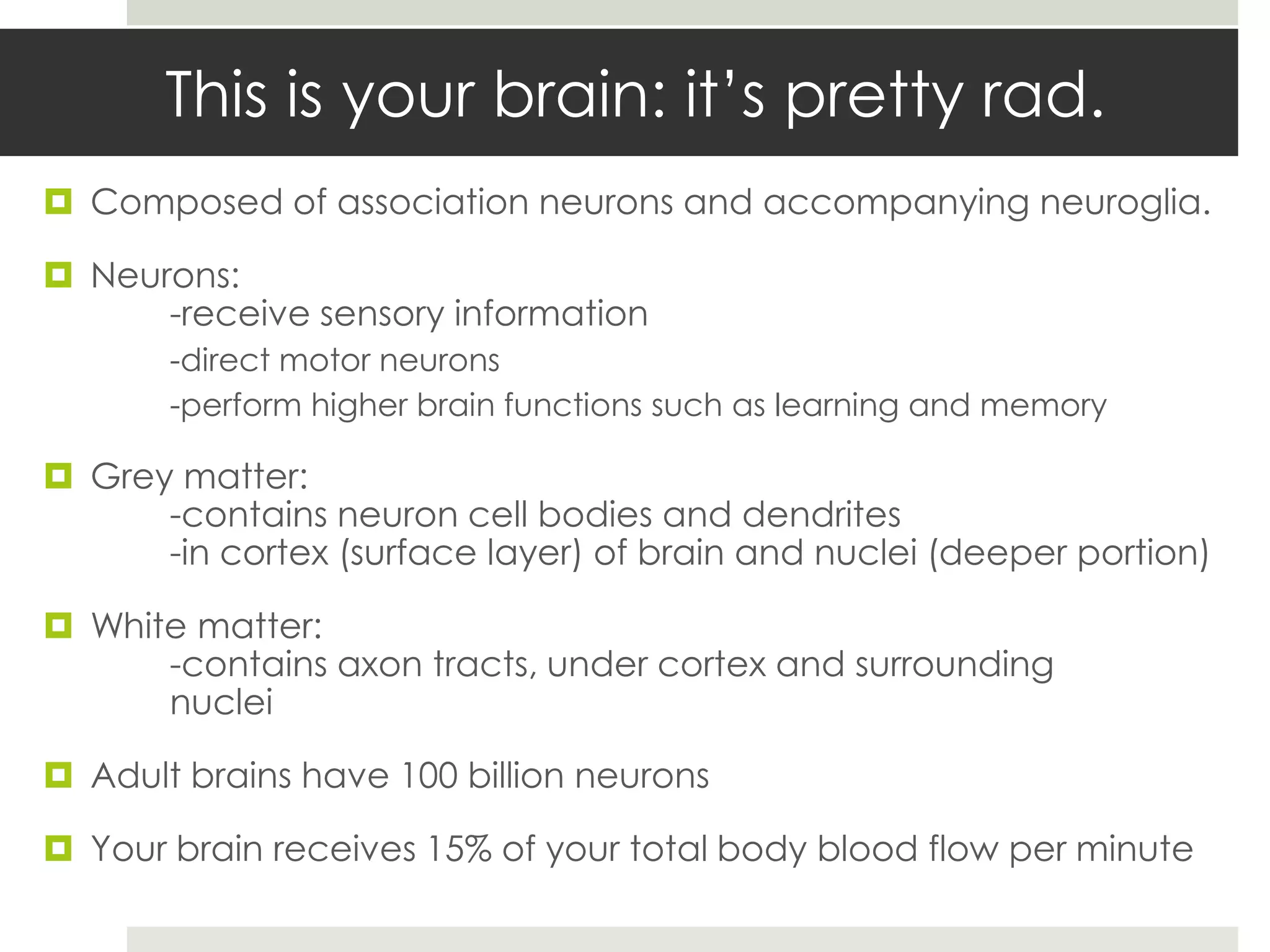 Neuroplasticity by Reagon Heikes | PPTX | Brain and Nervous System ...