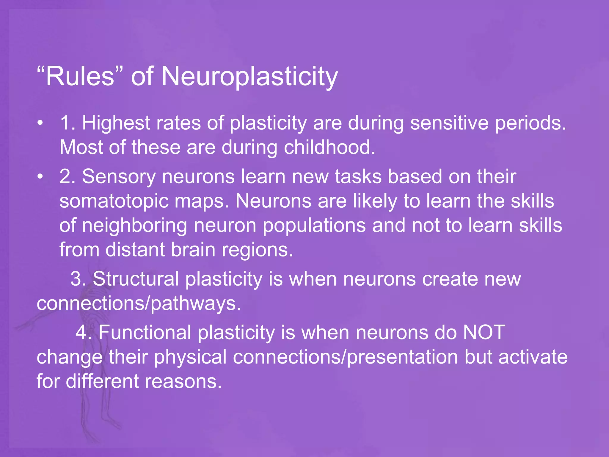 Neuroplasticity lesson pwpt | PPTX | Brain and Nervous System Disorders ...