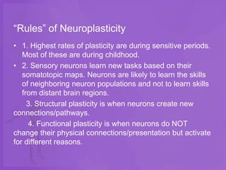 Neuroplasticity lesson pwpt | PPTX | Brain and Nervous System Disorders ...