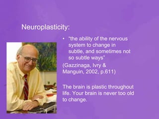 Neuroplasticity lesson pwpt | PPTX | Brain and Nervous System Disorders ...