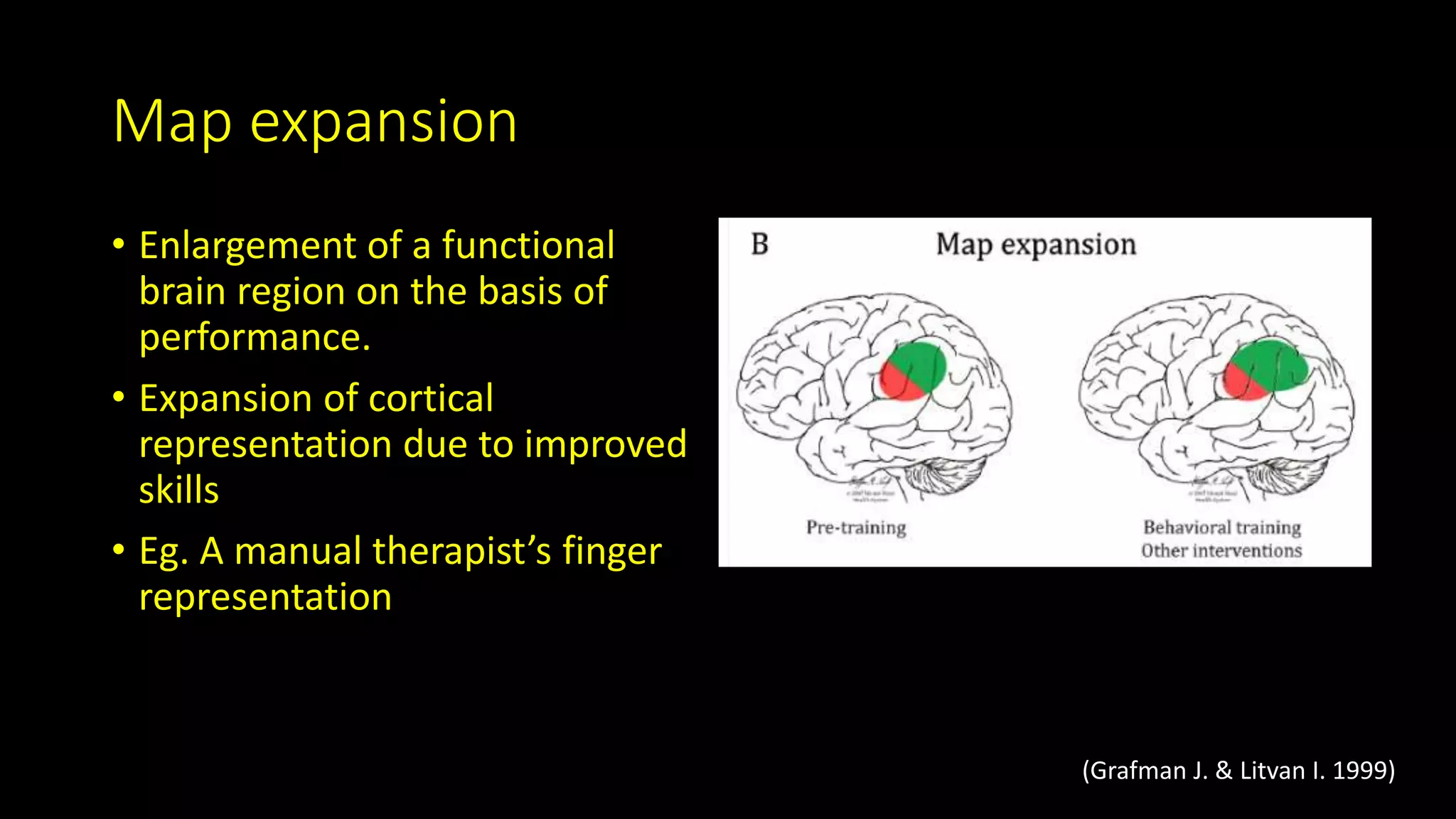 Neuroplasticity: Applications in Neurophysiotherapy by Vipinnath E N | PPTX