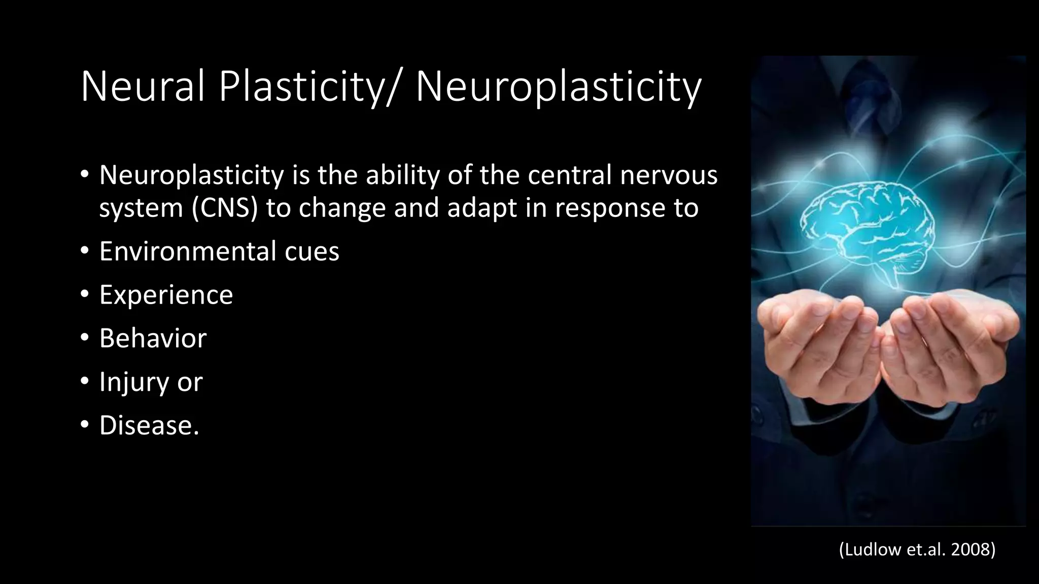 Neuroplasticity: Applications in Neurophysiotherapy by Vipinnath E N | PPTX