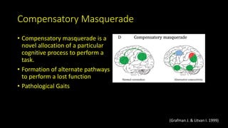 Neuroplasticity: Applications in Neurophysiotherapy by Vipinnath E N | PPTX