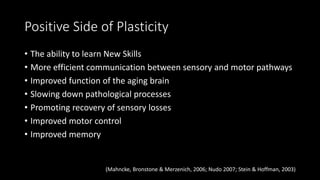 Neuroplasticity: Applications in Neurophysiotherapy by Vipinnath E N | PPTX