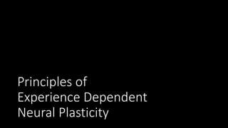 Neuroplasticity: Applications in Neurophysiotherapy by Vipinnath E N | PPTX