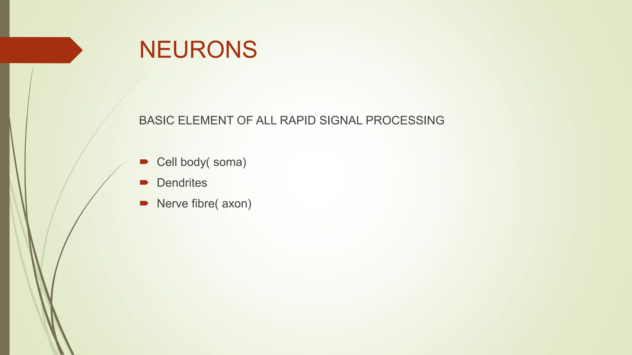 neurophysiology in anaesthesia and anatomy of cns | PPTX