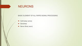 neurophysiology in anaesthesia and anatomy of cns | PPTX