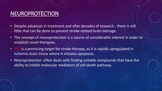 Neuroprotection against cerebral ischemia | PPT