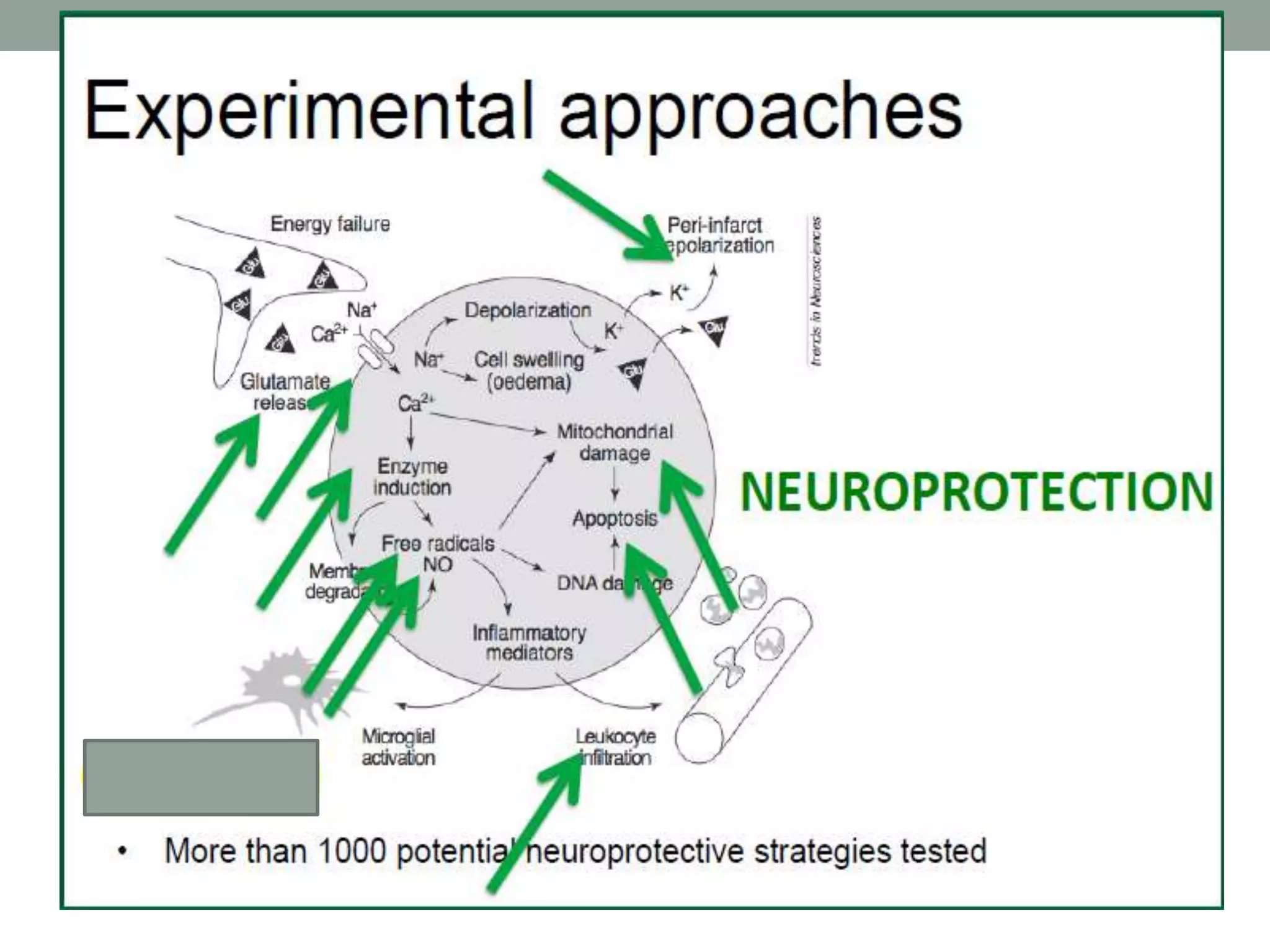 Neuroprotection for stroke | PPTX