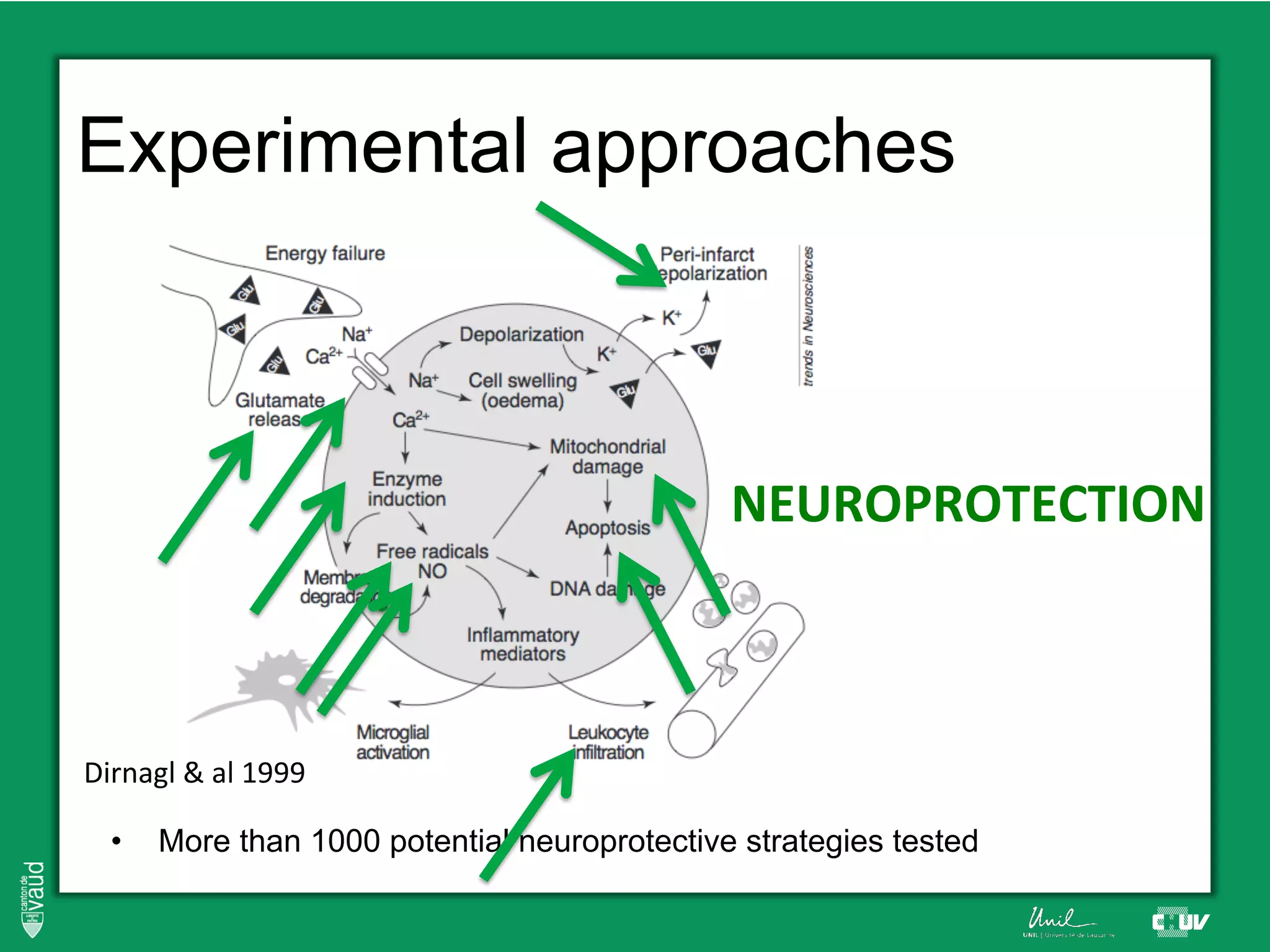 Neuroprotection in neurology | PDF