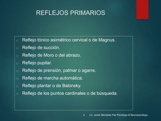 Neuropsicología y motricidad | PPTX