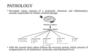 Neuropsychiatric consequences of traumatic brain injury | PPT
