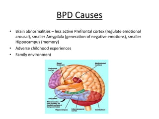 Neuropsychiatric disorders | PPTX