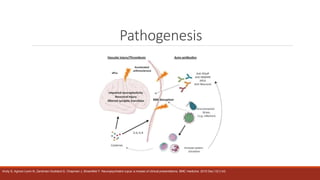 Neuropsychiatric Systemic Lupus Erythematosus | PPTX