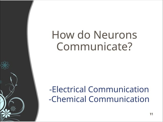 Neuropsychology Power Point Presentation | PPT